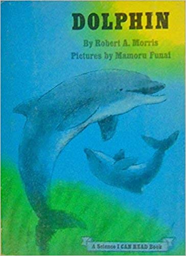 dolphin mor