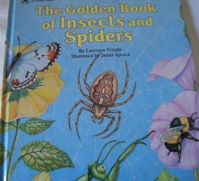 The Golden Book of Insects and Spiders by Laurence Pringle (1990) – Ex ...