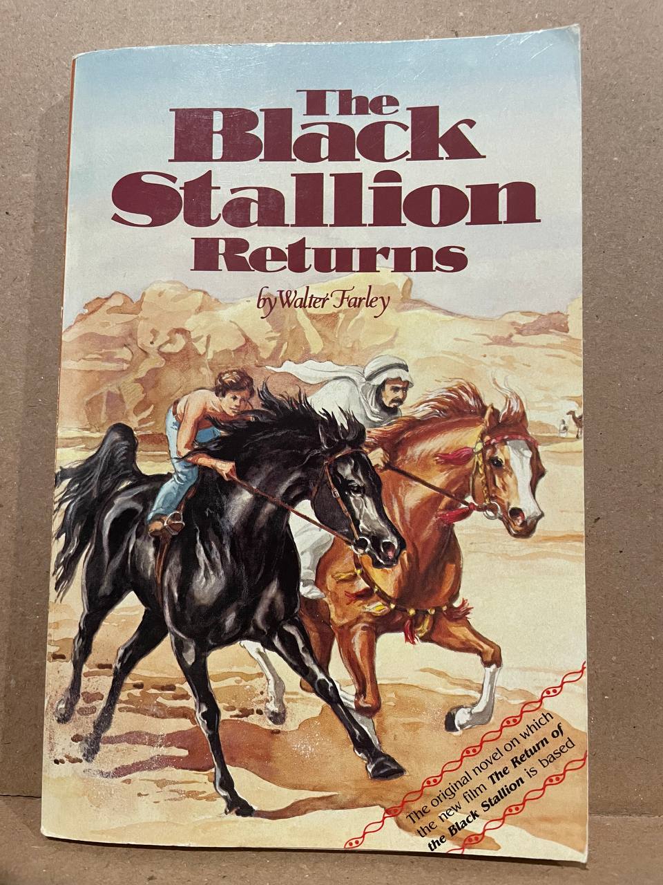 Black Stallion Book Cover